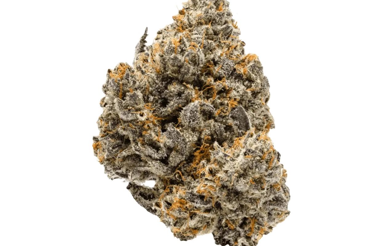 CzechOut 21/1 PUO Purple Octane